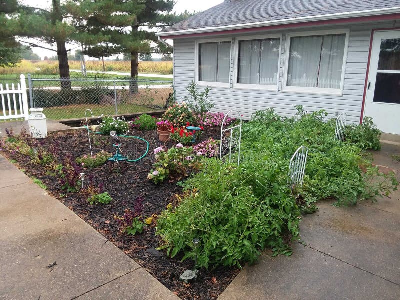Ohio flower garden stock photo. Image of property, estate - 158637756