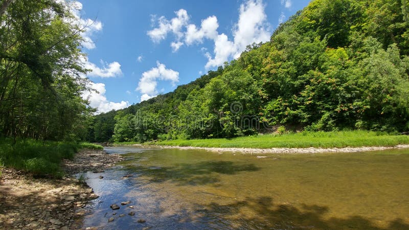Ohio stock image. Image of valley, nature, stream, tree - 77994297