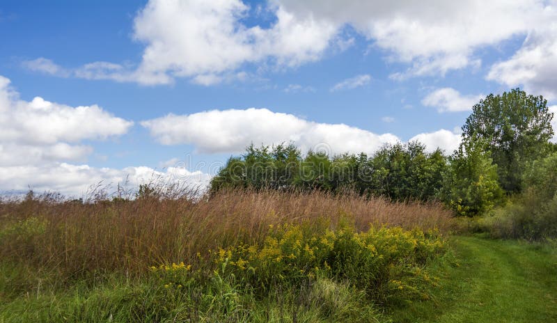 Ohio Prairie stock image. Image of blue, nature, goldenrod - 38436575