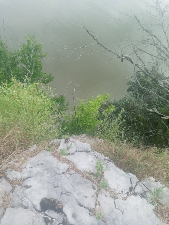 Ohio River Beautiful Open Plants Stock Image - Image of open, beautiful ...