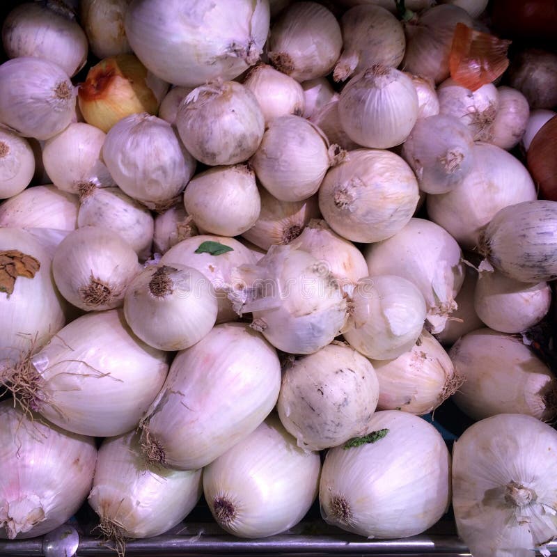 Oignon blanc image stock. Image du nourriture, régime - 62059893