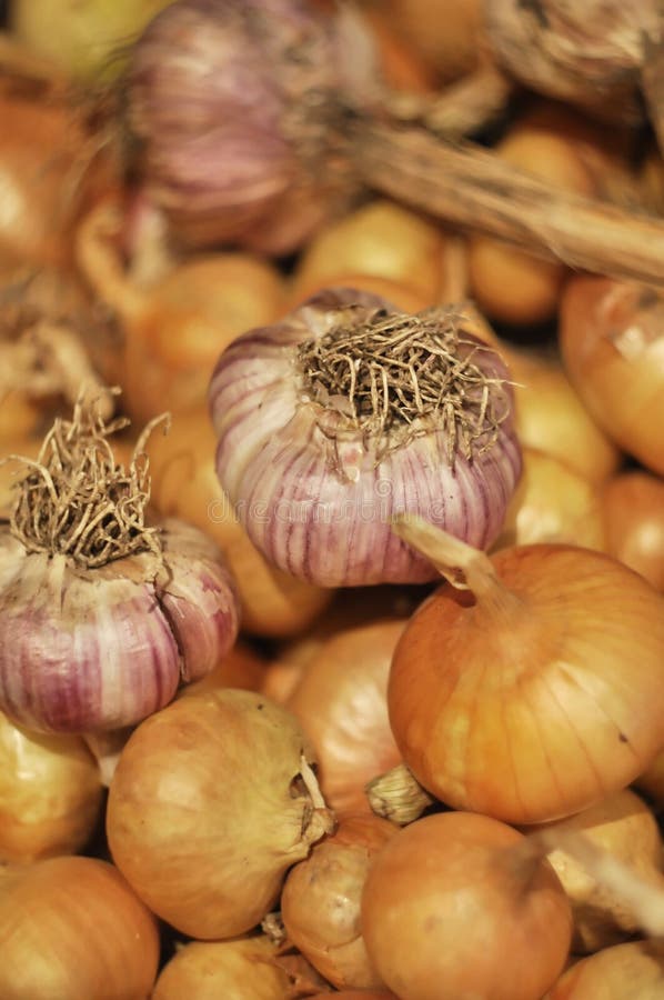 Oignon et ail image stock. Image du frais, herbe, cuisine - 12657635