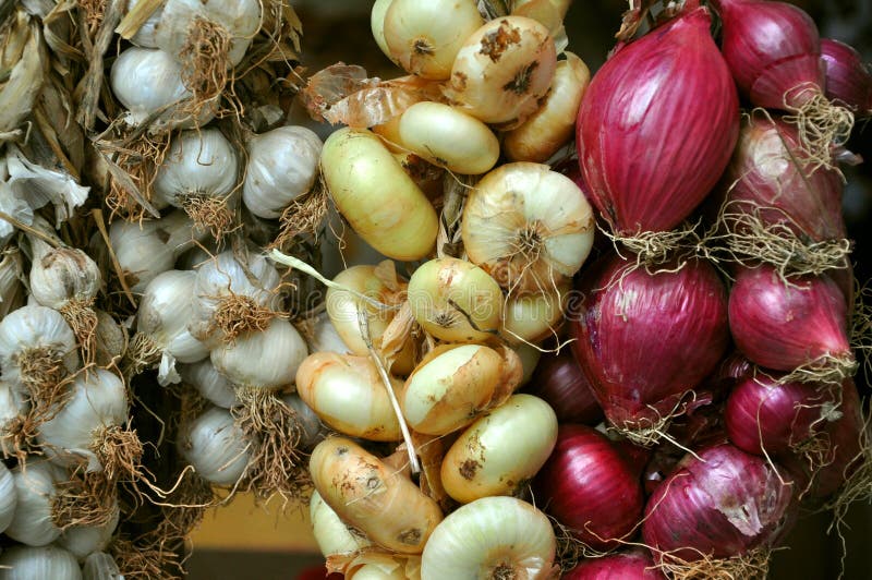 Oignon et ail organiques image stock. Image du nourriture - 21201775