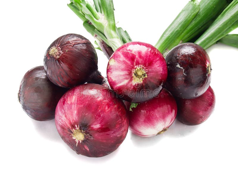 Oignon rouge photo stock. Image du propre, régime, jardin - 20298576