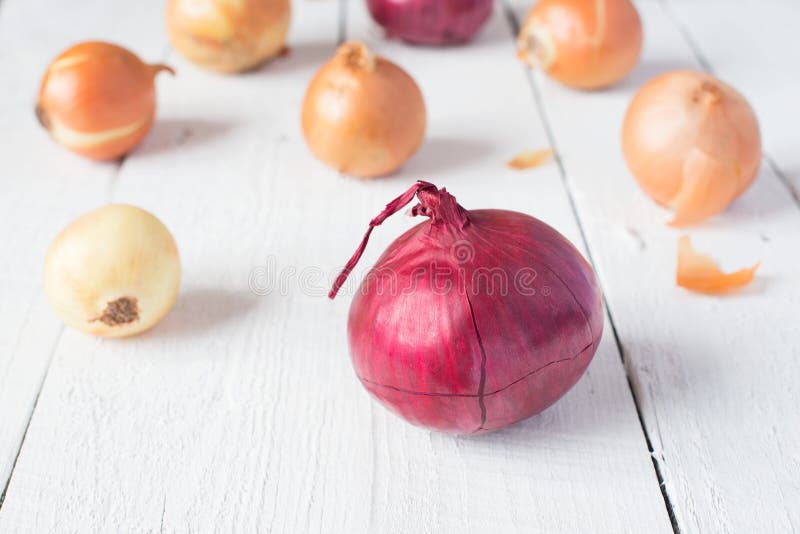 Oignon espagnol rouge image stock. Image du isolement - 44772925