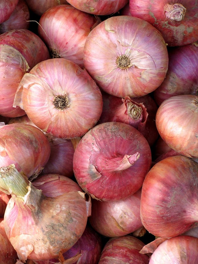 409,980 Photos de Oignon Rouge - Photos de stock gratuites et libres de ...
