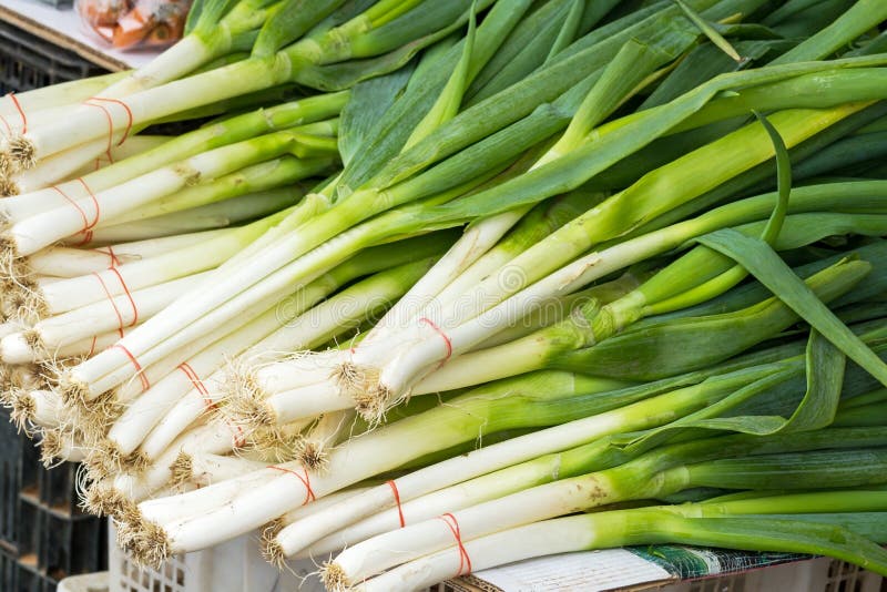 Oignon Se Rassemblant Japonais Image stock - Image du entassement ...