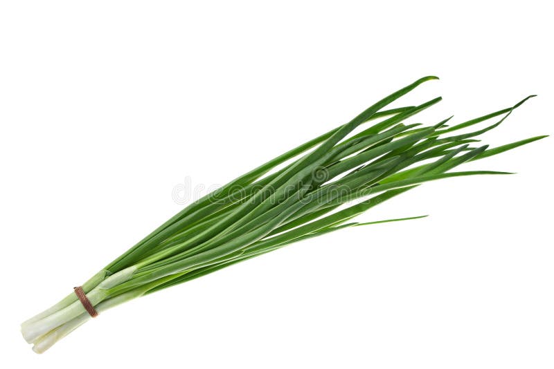 Oignon vert image stock. Image du image, vert, ingrédient - 9808021