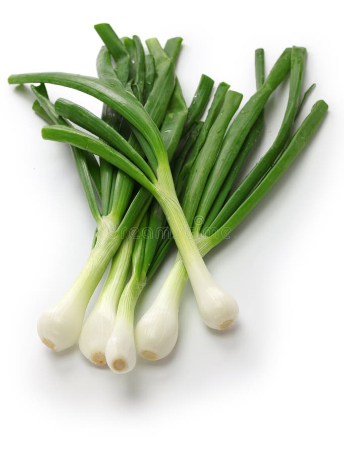 Oignon Vert, Oignon De Ressort Photo stock - Image du oignons, manger ...