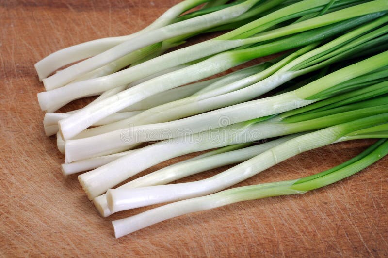 Oignon vert frais photo stock. Image of nourriture, ingrédient - 18514478