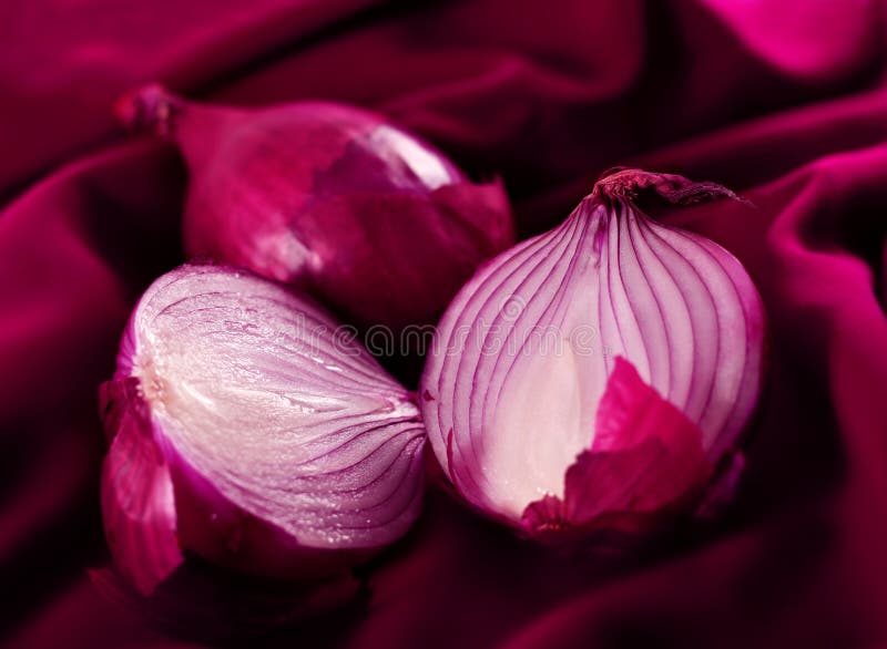 Oignon violet photo stock. Image du violet, oignon - 6890160