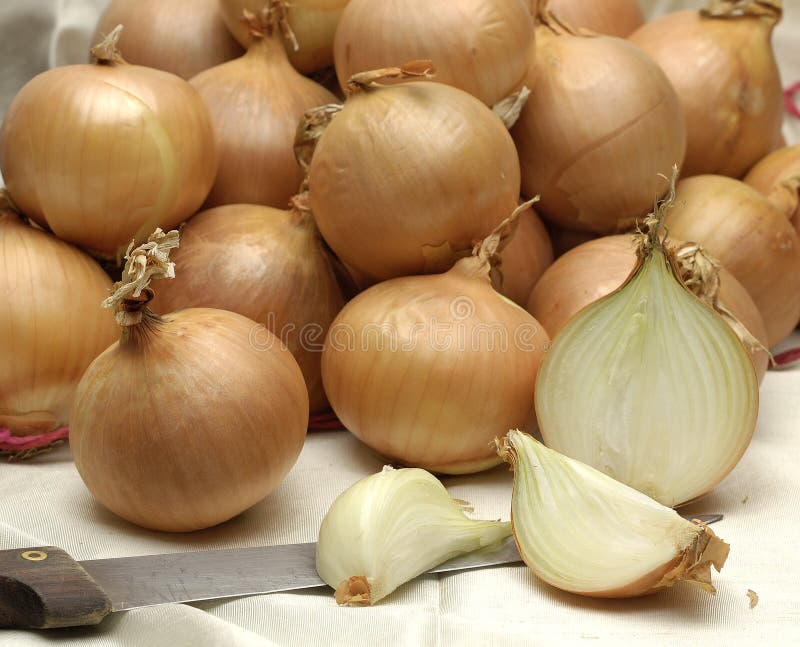 229,060 Oignons Photos libres de droits et gratuites de Dreamstime