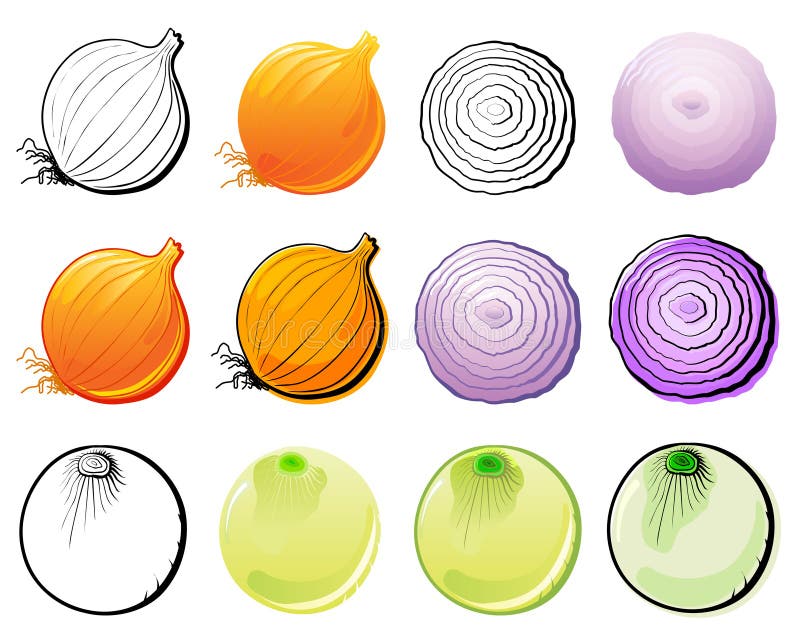 Oignons Stock Illustrations, Vecteurs, & Clipart – (8,455 Stock ...
