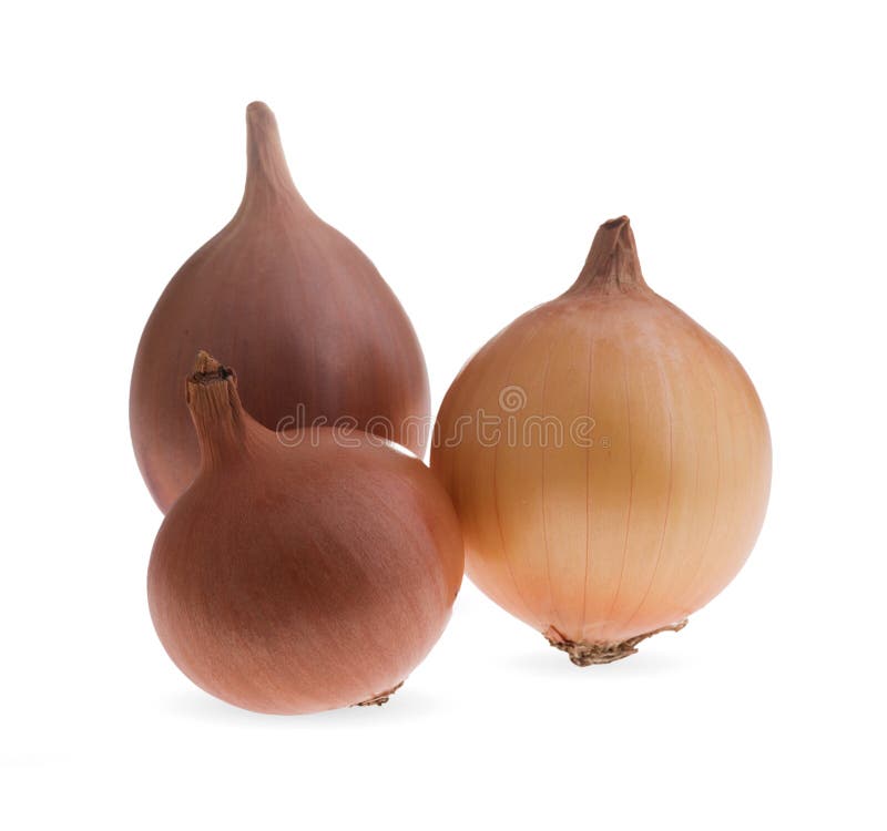 Oignons mûrs. photo stock. Image du complètement, brun - 29811436