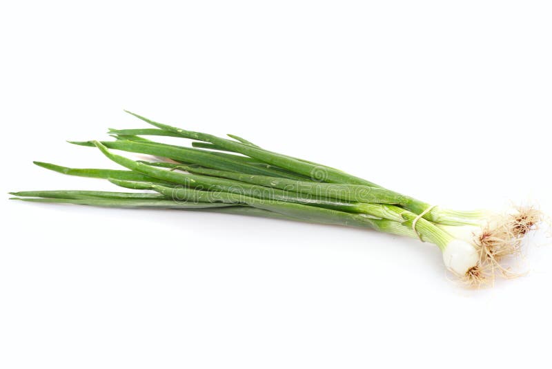 Oignons Verts Dans Le Jardin En Serre Photo stock - Image du organique ...