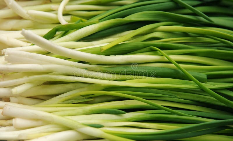 Oignons verts de source photo stock. Image du serre, légumes - 11833670