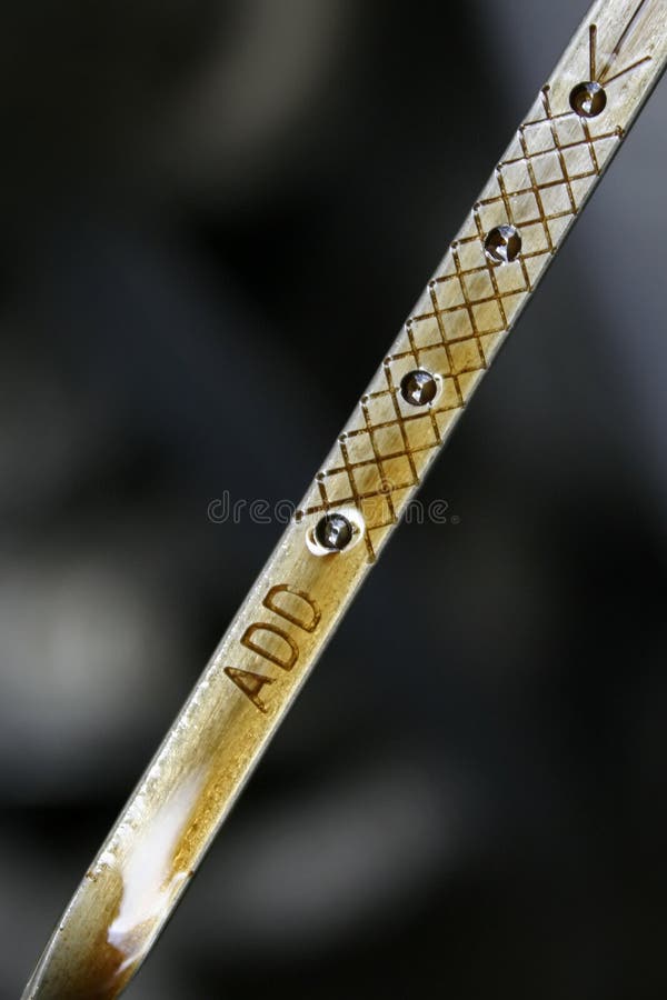 Oil check stock photo. Image of metal, check, dipstick - 13562136
