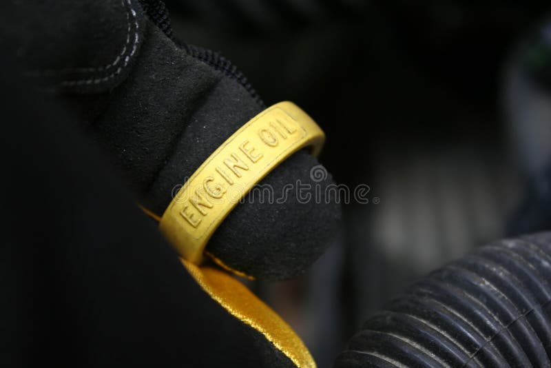 Oil check stock photo. Image of maintenance, repair, check - 13577028