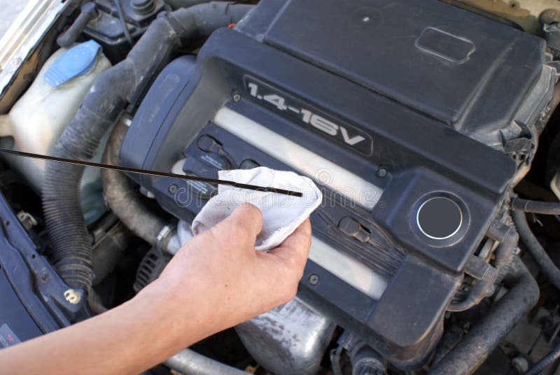 Oil check stock photo. Image of auto, maintenance, transportation - 8989548