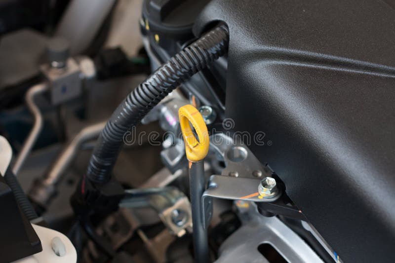 Oil dipstick of car engine stock image. Image of maintenance - 81306647