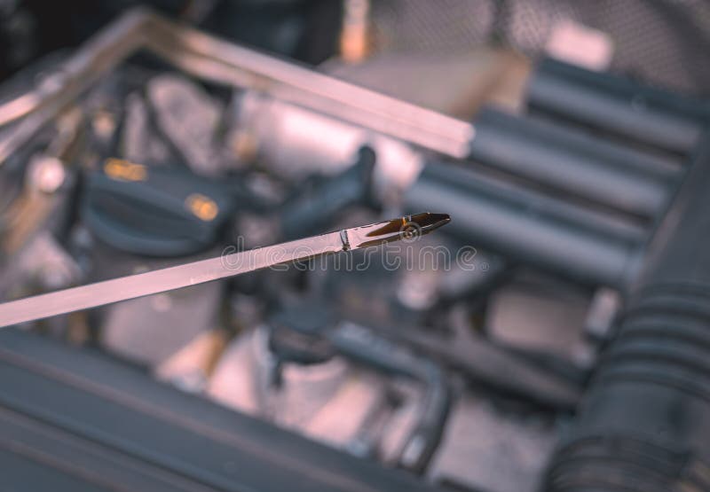 Oil Dipstick, Checking the Oil Level in a Car Engine Stock Photo ...