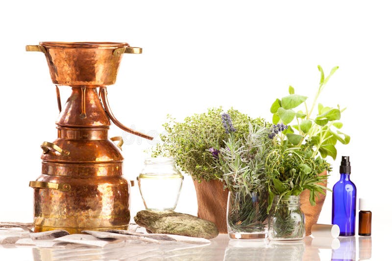 Oil Distiller stock image. Image of nature, natural, aromatic - 43633319