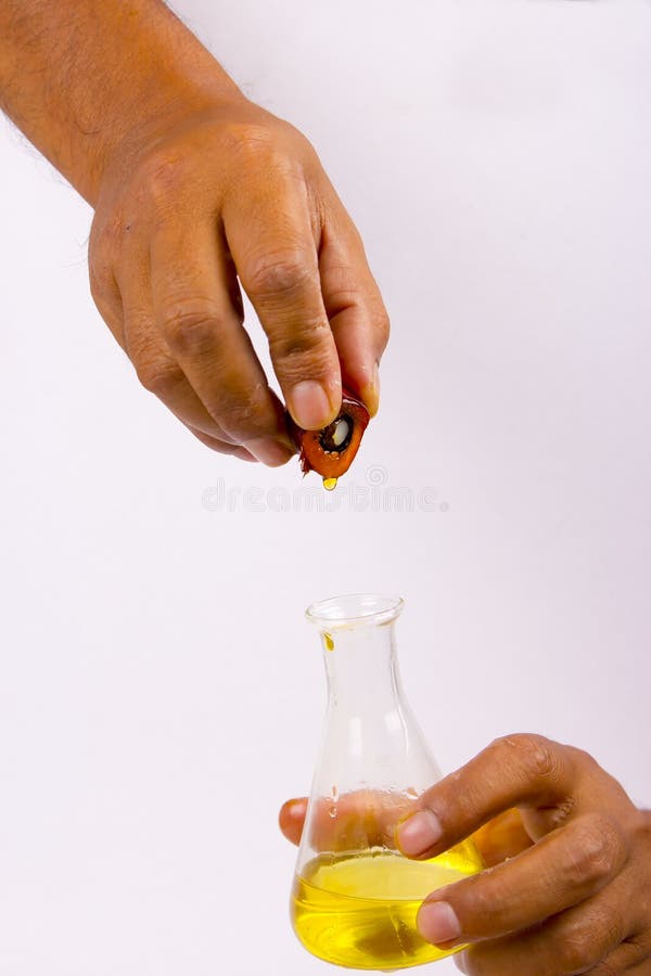 Oil Dripping Oil Palm Fruit Stock Photos - Free & Royalty-Free Stock ...