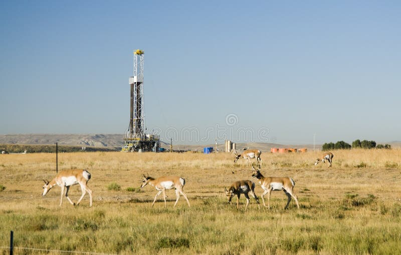 Oil field drilling stock photo. Image of industry, panhandle - 303858