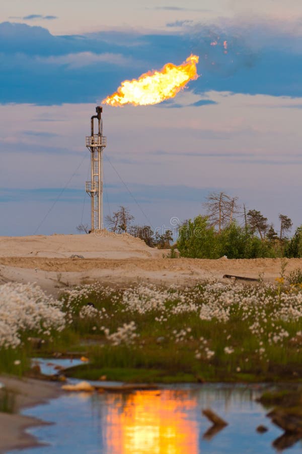 Oil gas flare stock image. Image of grace, factory, gasoline - 30730969