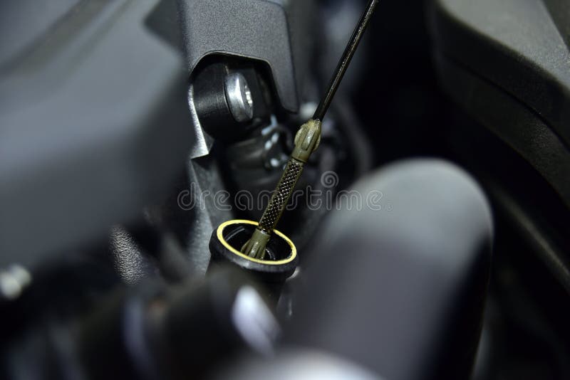 Oil Level Control Rod in a Car Engine Stock Image - Image of hand, form ...