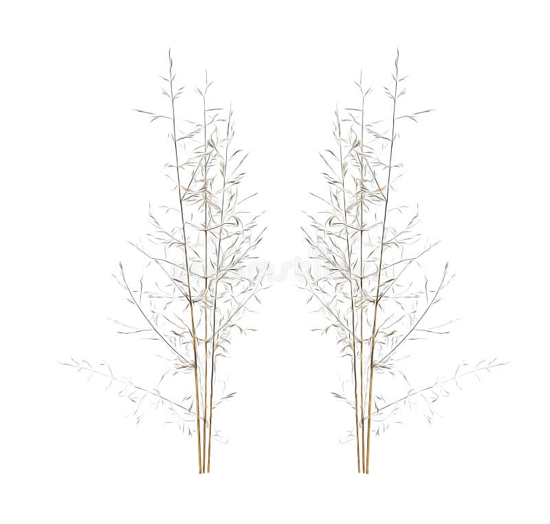 Oil paint dry grass stock illustration. Illustration of grass - 73920970