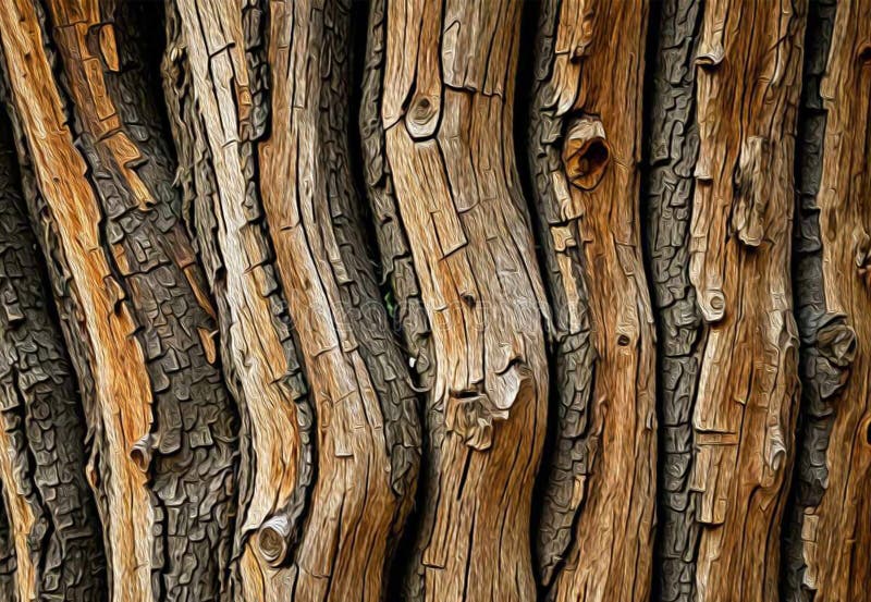 Wood Structure Pattern. for Printing on Wall Decorations, Covers ...