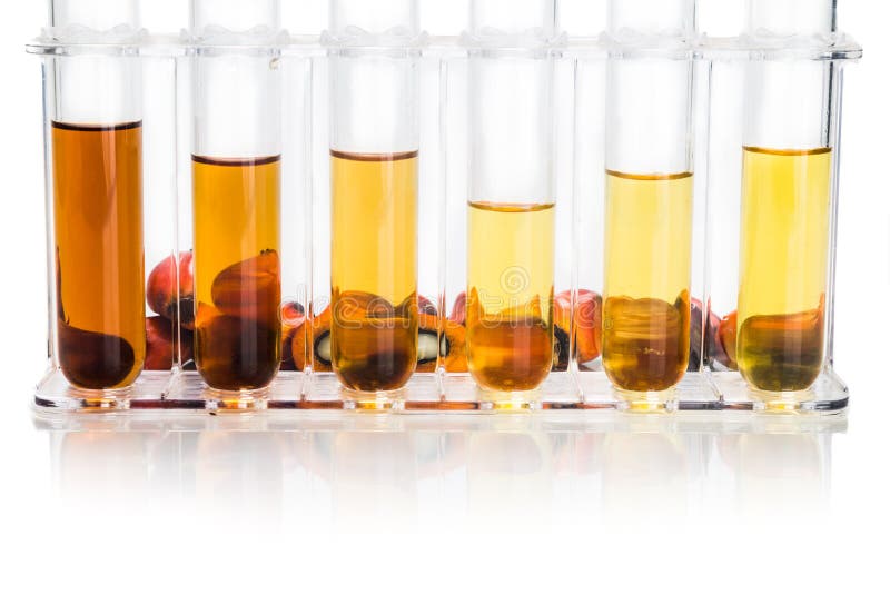 Oil Palm Biofuel Biodiesel Test Tubes White Background Stock Photos ...