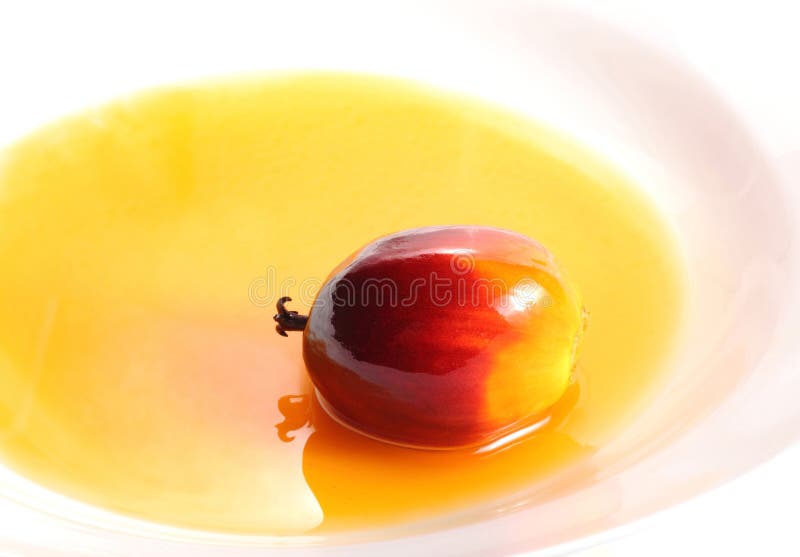 Oil palm fruit stock photo. Image of ingredient, agriculture - 27307196