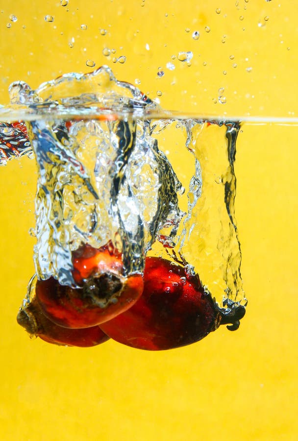 Oil Palm Fruits splash stock photo. Image of commodity - 27457506