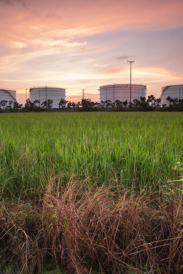 714 Rice Tank Stock Photos - Free & Royalty-Free Stock Photos from ...