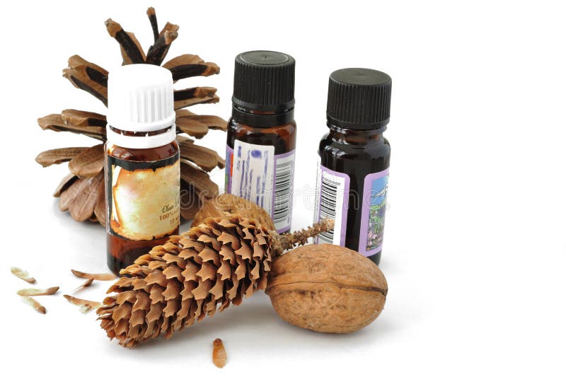 Seeds Picture. Image: 1892770