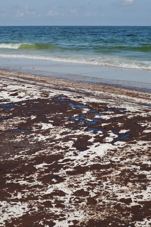 Oil Spill on the Beach June 2010 Stock Photo - Image of accident ...