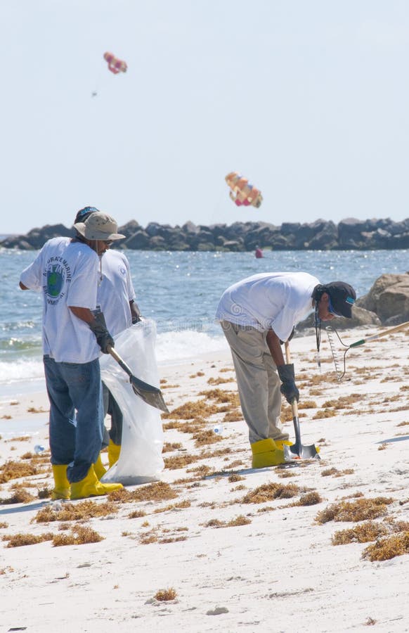 Oil Spill Workers Cleaning Beach Editorial Stock Image - Image of ...