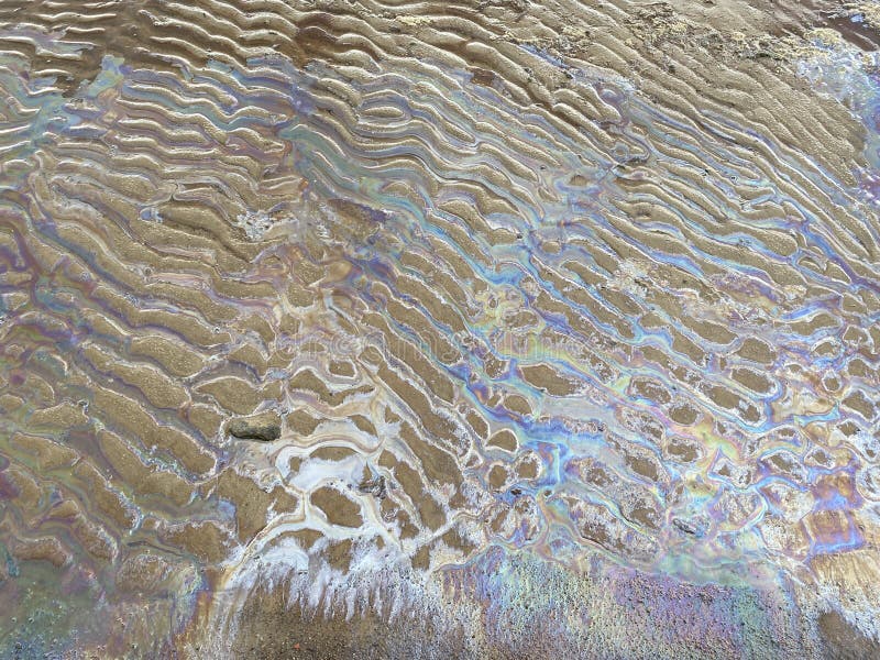 Oil spills on the sand stock image. Image of endangered - 220402435