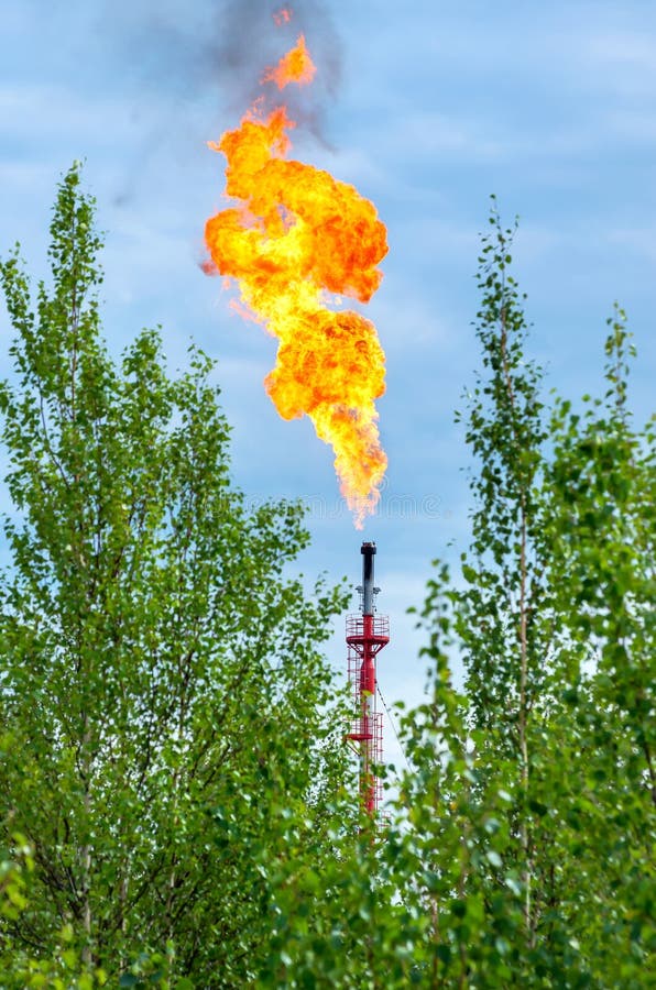 Oil torch stock photo. Image of flare, industry, favorable - 45954686