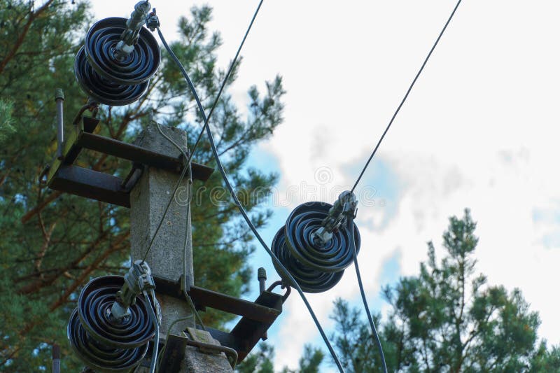 An Oil Transformer and Power Lines in the Forest. the Support of an ...