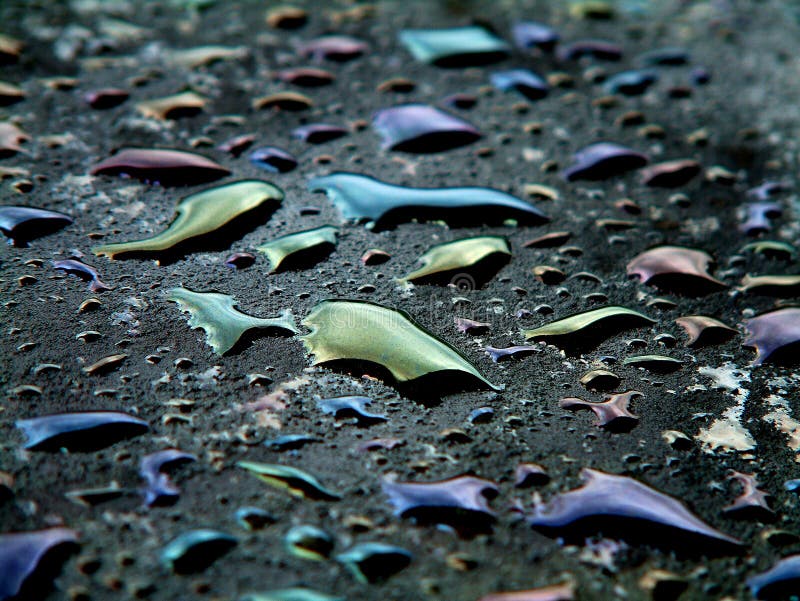 Oil and water stock photo. Image of green, water, moist - 1010588