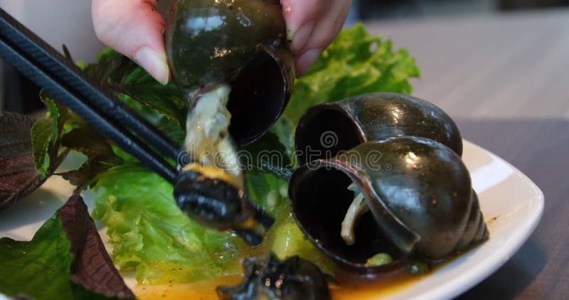 Remove Shellfish from Shells Oiled Sea Scallops Being Removed from the ...