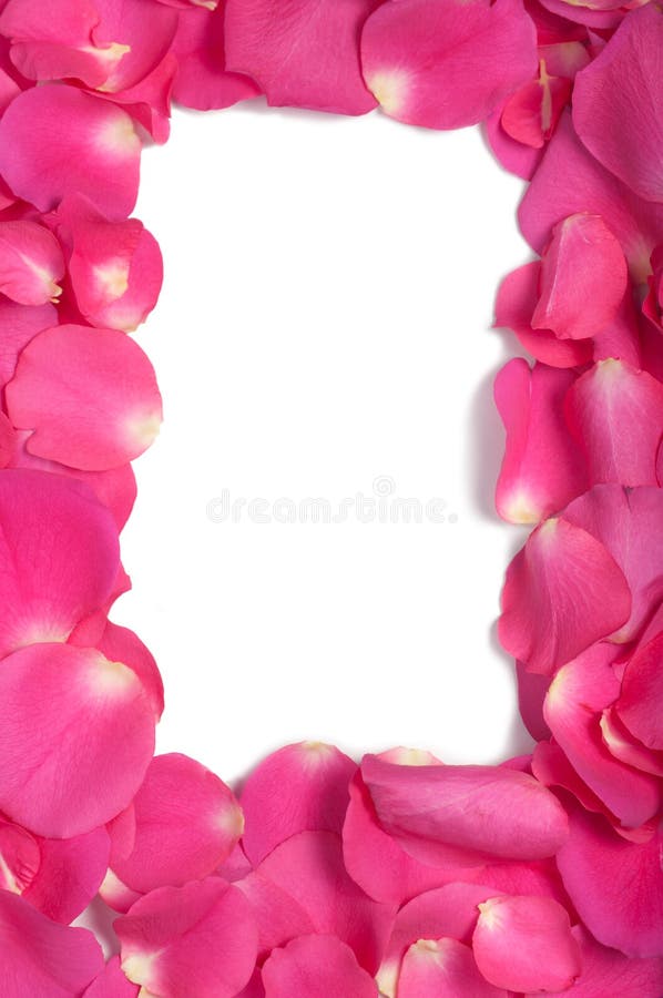 Rose petal border stock image. Image of floral, abstract - 7689933