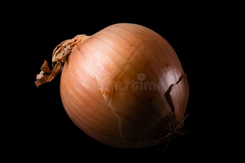 Oion stock photo. Image of space, vegetable, fresh, yellowtail - 78334430