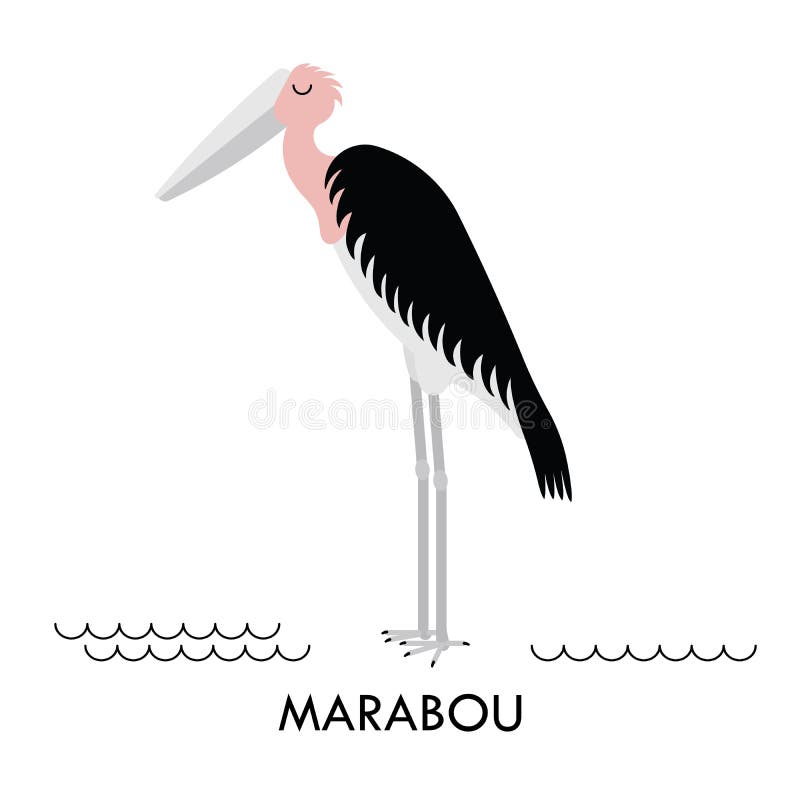 Marabout Stock Illustrations, Vecteurs, & Clipart – (250 Stock ...