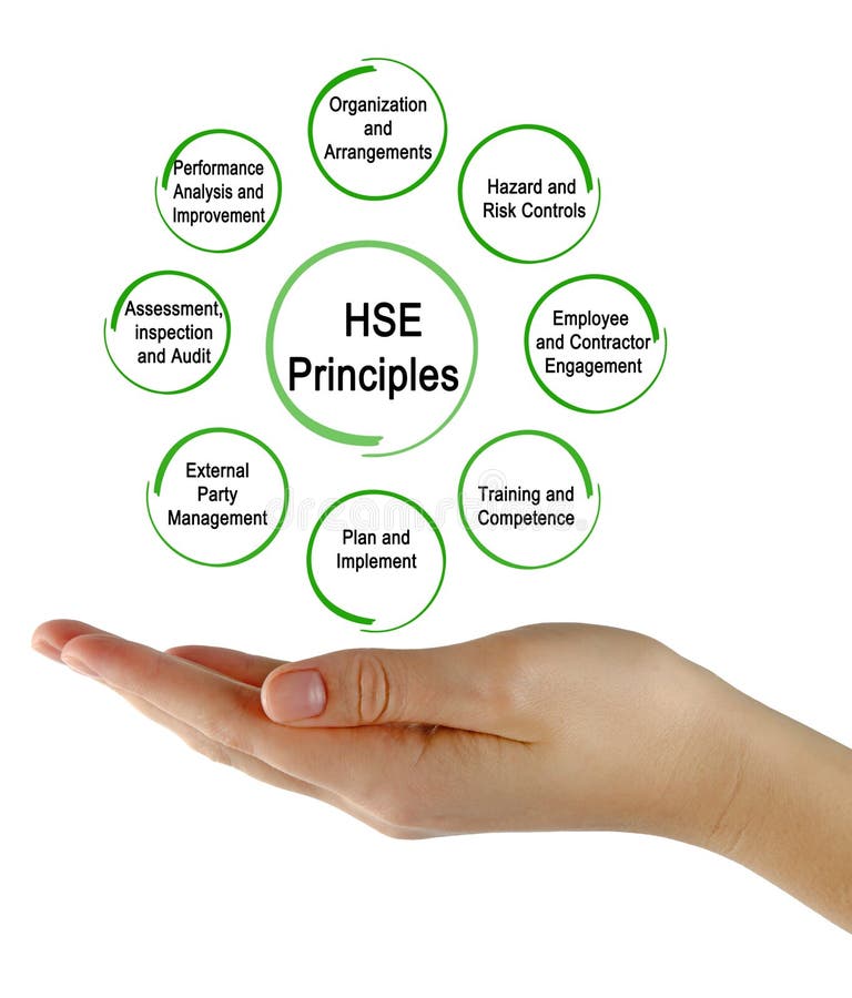 Oito princípios do HSE imagem de stock. Imagem de gerente - 119300947