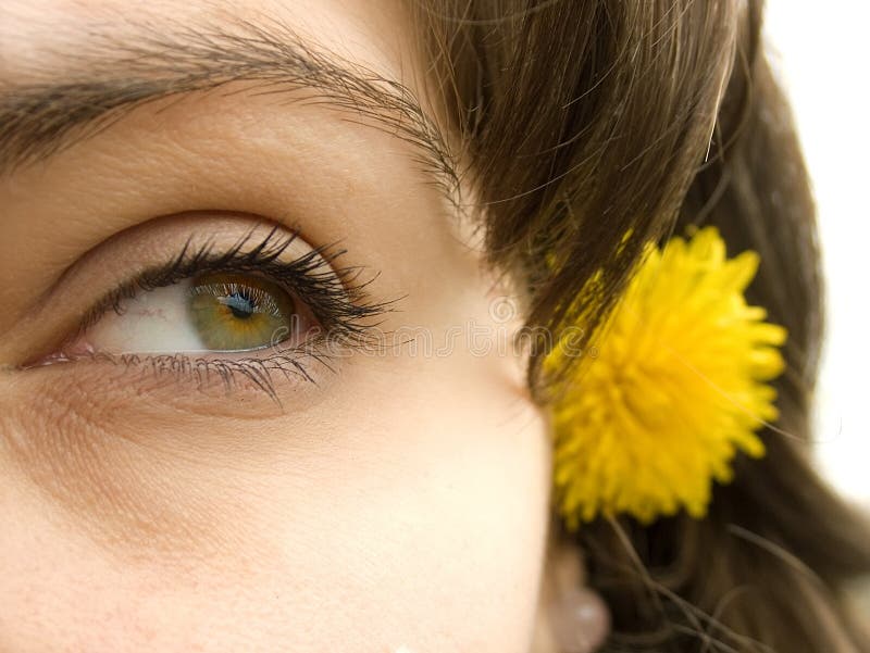 Ojos imagen de archivo. Imagen de observar, hermoso, verde - 1747267