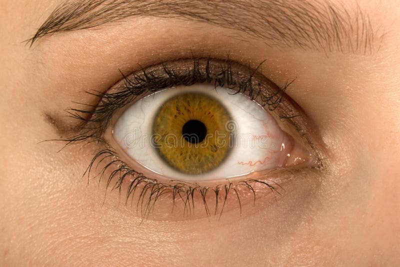 Ojo foto de archivo. Imagen de macro, mirada, humano, estelar - 4245580